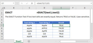 Excel EXACT Function - Test for Exact Match