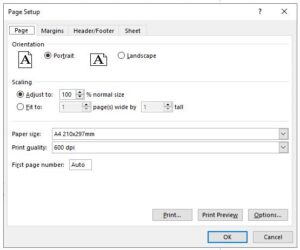 What is the Page Setup Function in Excel & Google Sheets? - Automate Excel