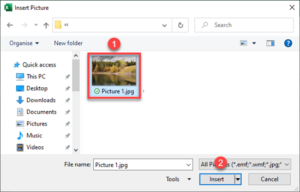 How to Insert Pictures / Images in Excel & Google Sheets - Automate Excel