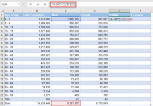 Excel Population Pyramid - Automate Excel