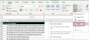 How to Filter Rows in Excel & Google Sheets - Automate Excel