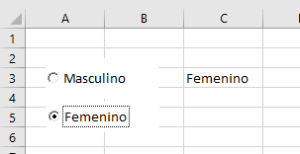 VBA - Botón de opción en Excel - Automate Excel