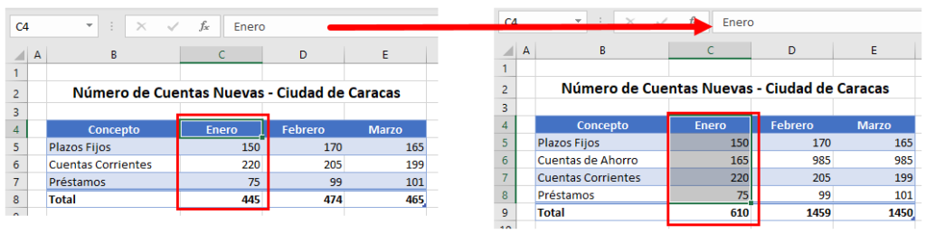 VBA - Rango Dinámico - Automate Excel