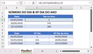 Número de Dias no Ano - Fórmula para Excel ou Google Planilhas ...